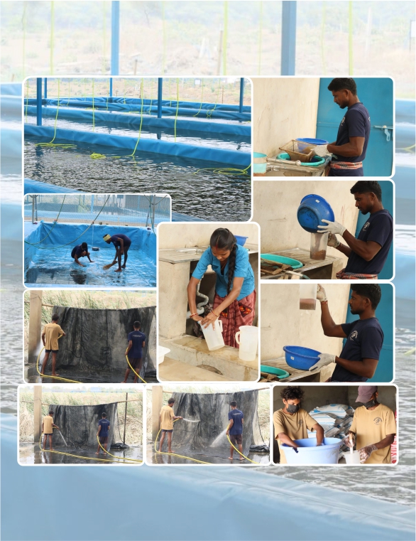 MM Hatcheries – fish farming
